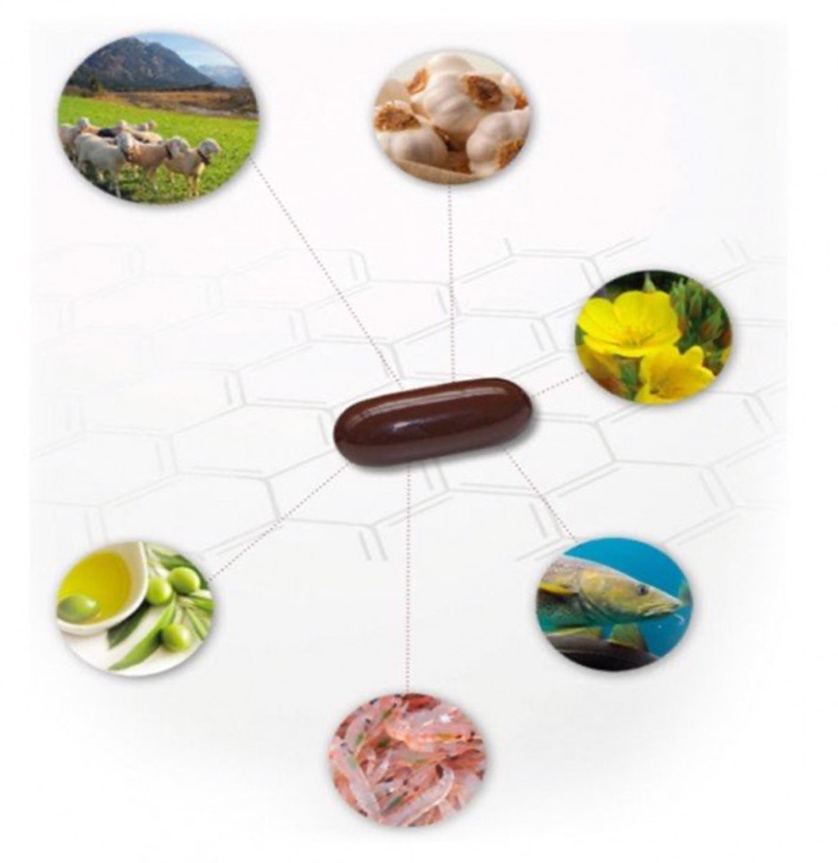 VITAL CELL SOFTGELS PREMIUM EXTRACT - BHMED Việt Nam